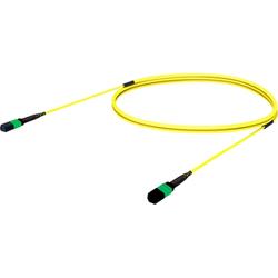 CommScope Technologies LLC - 200' Trunkc Cable, MPO-MPO - FGWMPMPAD ...