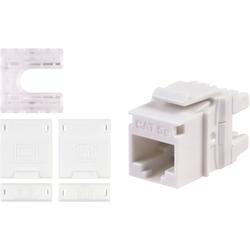 AESP, Inc. - MT Series White CAT5e High Density Keystone Male - KJ458MT ...